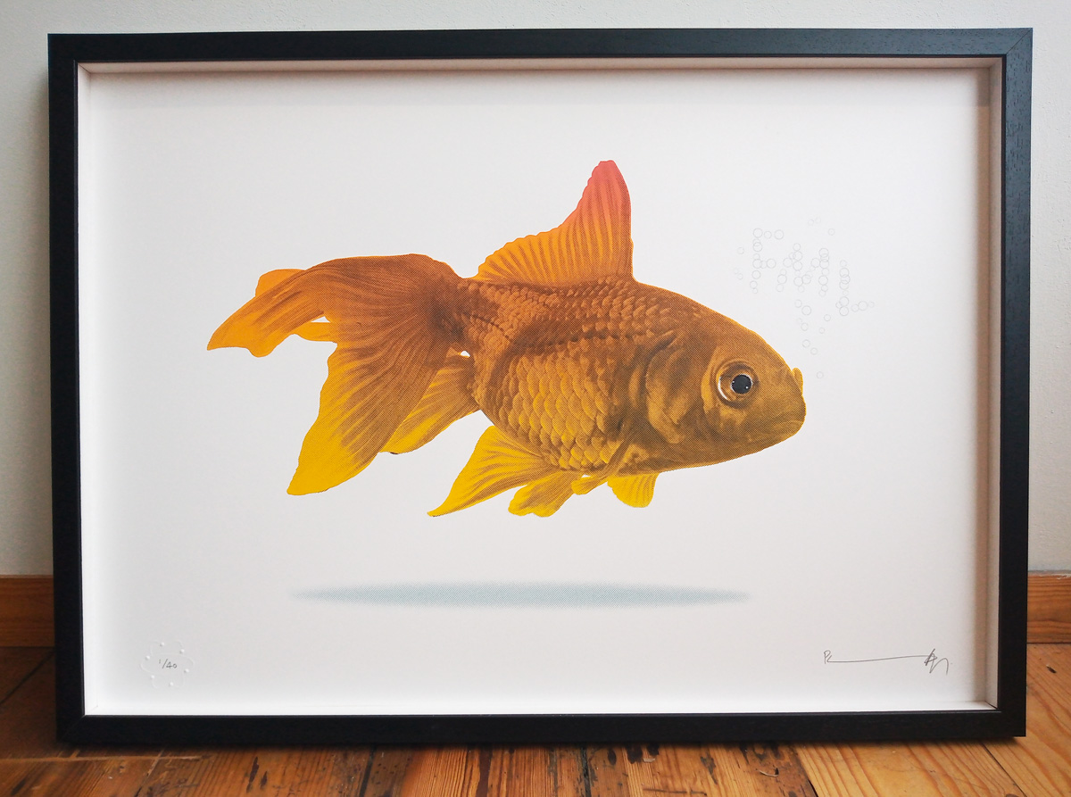 "Goldfish fml" limited edition screenprint by Richard Pendry ...
